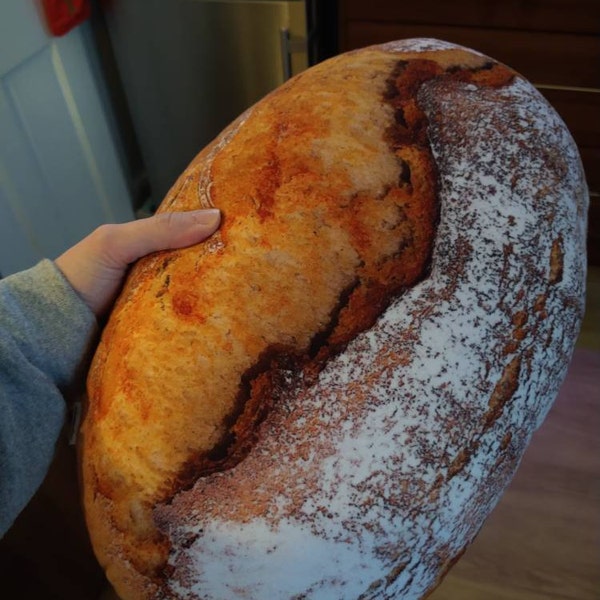 Realistic Loaf Bread Pillow: Funny Food Plush, Couch Cushion - Etsy