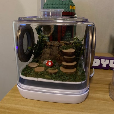 Jumping Spider Enclosure 5x5x9 Spider House, Spider Tank, Spider ...