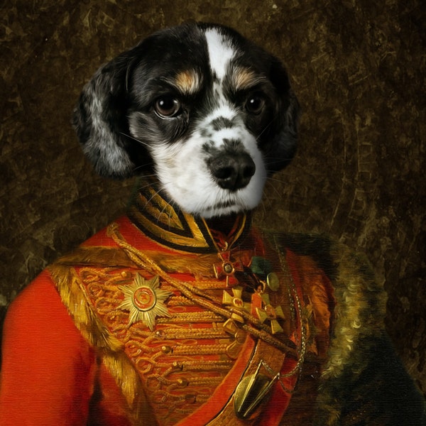 Custom Renaissance Military Pet Portrait | Custom Pet Portrait | Custom ...