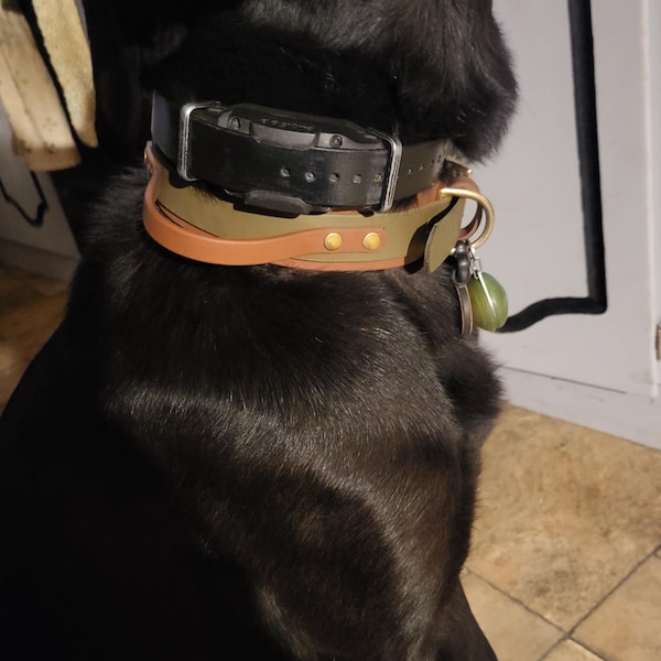 The Vera Bling Biothane® Collar | Beta Biothane® Collar | Gemstone ...