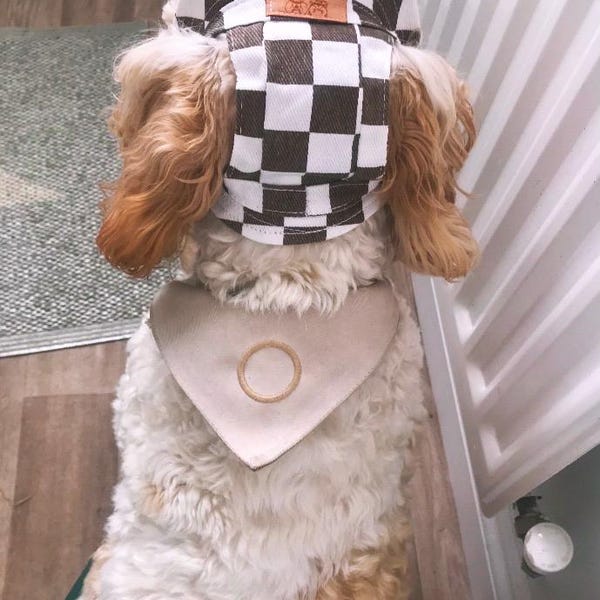 Dog Hat | Bucket Hat | Puppy Hat | Dog Visor | Sun Protection Cap ...