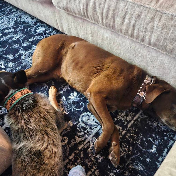 Custom Western Branded Cowhide Round Tooled Leather Crossbody Purse ...