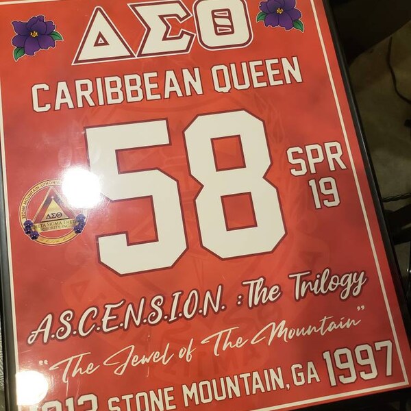 Pledge Posters - Etsy