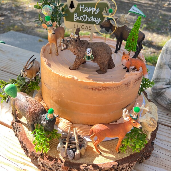 Mini Bonfire That Will Light up Also Little Firepit or Campfire to Be ...