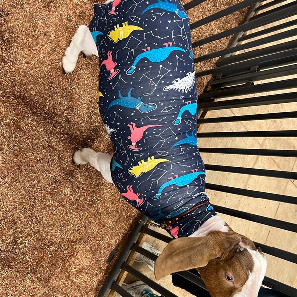 Aztec Western Lamb Leg Tubes - Etsy