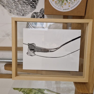 Matte Black Double Glass Floating Frame, Pressed Flower Frames for ...