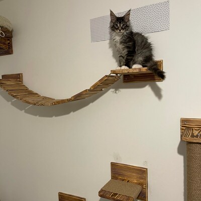 Large Wall Mounted Cat Bridge Lounge Platform Built Solid Wood and ...