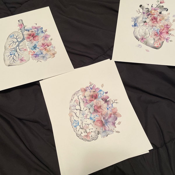 Human Brain Heart Lungs Set of 3 Watercolor Prints Anatomy Wall Art ...