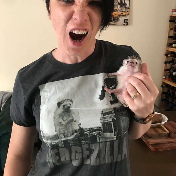 Rare Hedgezilla Movie Poster Cutest Kaiju Protector of Tokyo - Funny ...