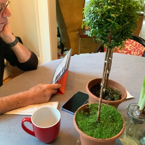 Scented Geranium Topiary Braid or Twist in a 6 Pot - Etsy