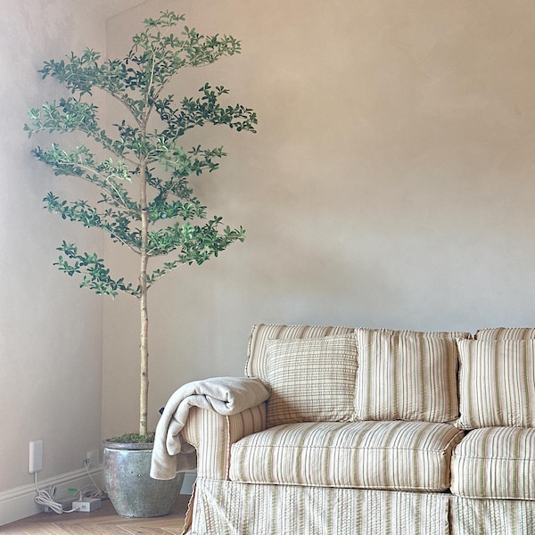 Faux Black Olive Tree, Shady Lady Tree, Black Olive Tree, Olive Tree - Etsy