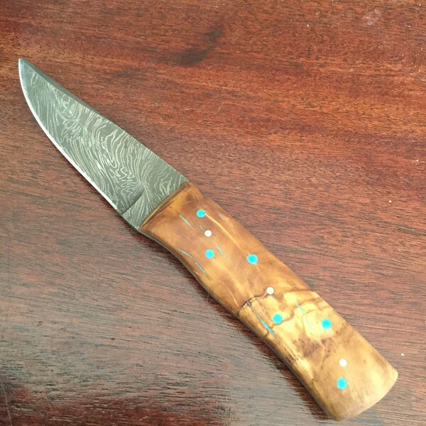 Real Agatized Dino Bone 7 Piece Parcel, Uncut Dinosaur Bone Lot ...