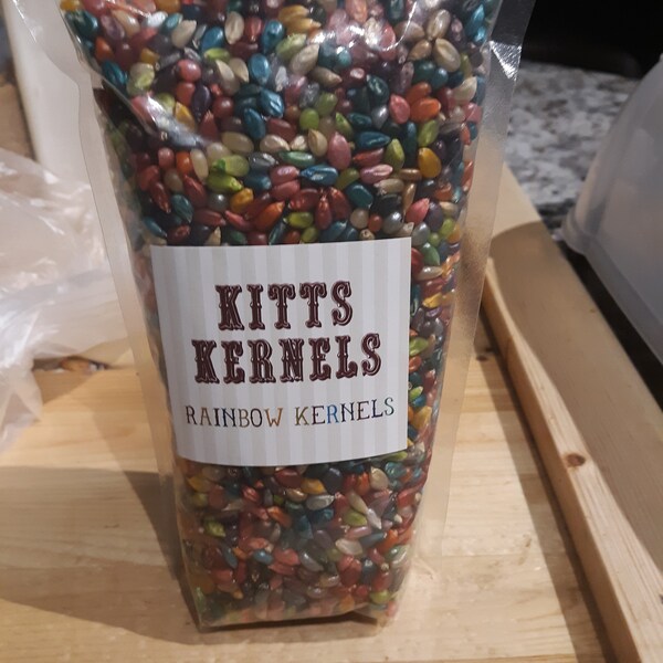 Colored Popcorn Seeds/ Multi Color - Etsy