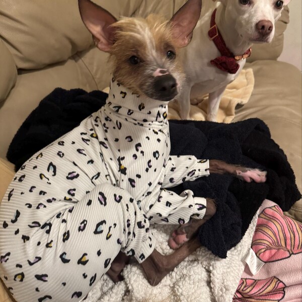 Italian Greyhound Rib Knit Pjs - Etsy