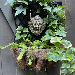 Satyr Pan Head Wall Hanging Pagan Celtic Mythology Demon Devil - Etsy