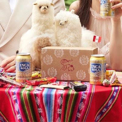 Peruvian Candy Box With Assortments Cookies Chocolates Candies ...