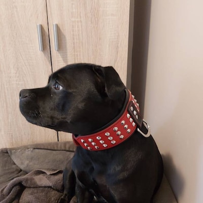 Bestia™ Genuine Leather hektor Harness. Rivet Design. Soft Padded With ...