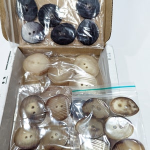 JHB Citrus Fruit Slice Button 20mm Plastic Shank Realistic - Etsy