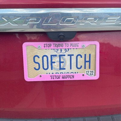 Ghost License Plate Frame Goth Car Accessories Goth Car Decor - Etsy