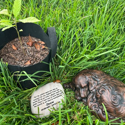 Human Rock Ashes Urn for the Yard - Etsy