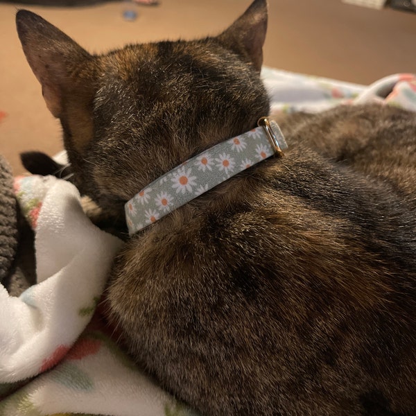Sage Green Daisy Cat Collar, Floral Breakaway Cat Collar With Bell and ...