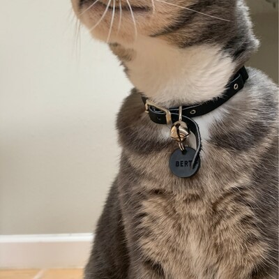 Cat Tag, Leather Tag, Silent ID Tag, Personalized Cat Tag, Small Dog ...