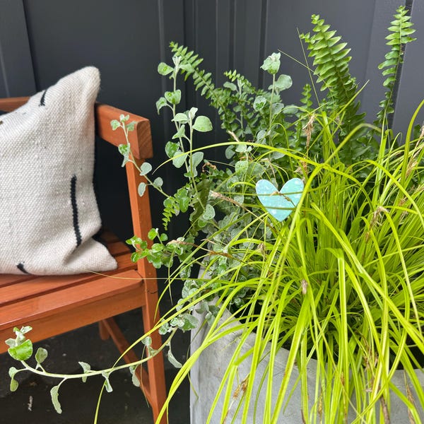 Sm Enamel Metal Mushroom by Clever Goods Co White, Garden Decor, Garden ...