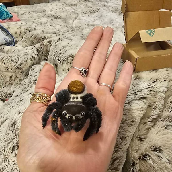 Needle Felted Jumping Spider Toy, Poseable Wool Sculpture - Etsy Australia