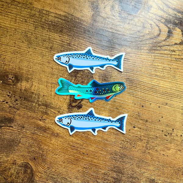 Crappie Sticker High-quality, Durable Freshwater Fish Fishing Decal for ...