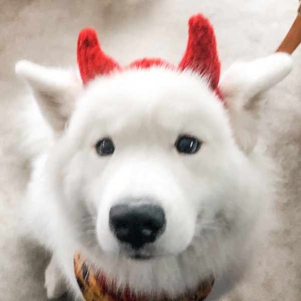 Devil Dog Costume, Devil Horns for Large Breed Dogs, Red Devil Dog Hat ...
