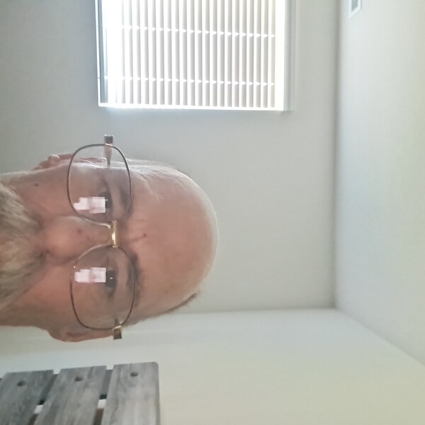 Cloud Ear Mushroom Liquid Culture Auricularia Polytricha Wood Ear ...