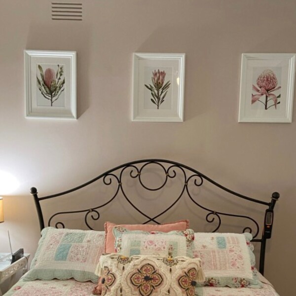 A4 DIGITAL DOWNLOAD Set of 3 Floral Prints, Protea Print, Wall Art ...