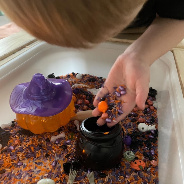 Fall Sensory Bin Loose Parts Tinker Tray, Montessori Toy, Sensory Kit ...