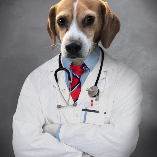 Custom Pet Portrait in Doctor Coat . Pet Doctor . Custom Animal ...