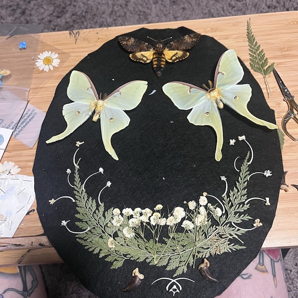 Deathtaxusa • #3634 - Real Animal Freeze Dried Stillborn Neonate ...