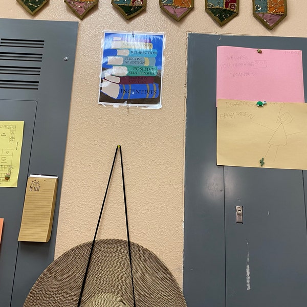 Garden Animals Magnets, Googly Eyed Critters, Love Bug, Bee, Frog ...