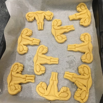 Uterus Cookie Cutter Womb Anatomy Physiology Medicine Penis Cookies ...