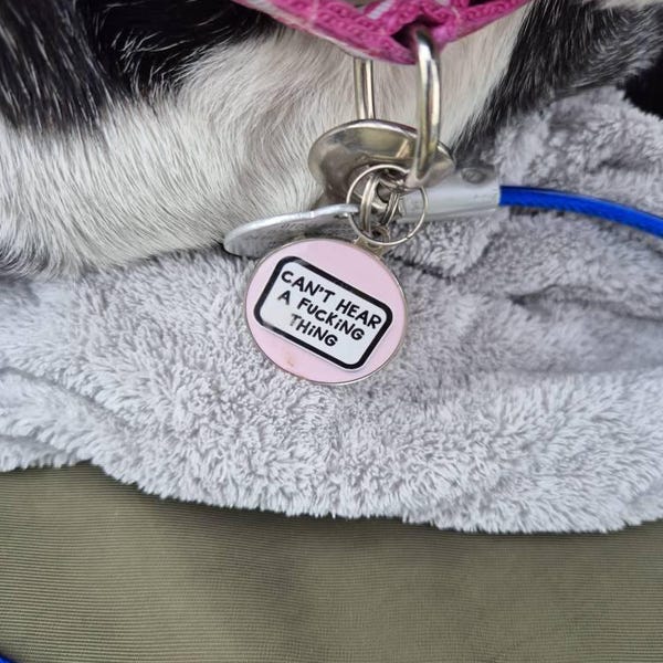 Cavapoo Christmas Ornament – Black & White Cavapoo Personalized Dog ...