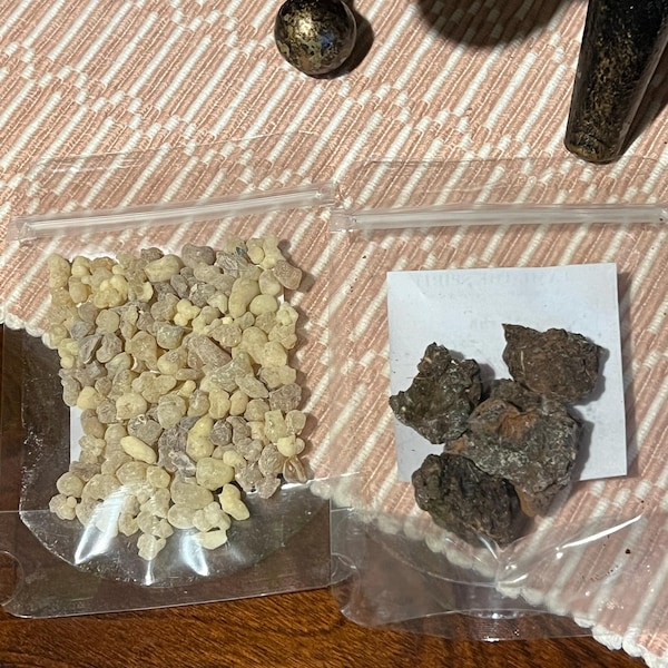 Osha Root Wild Harvested Fresh Organic Herbs - Etsy