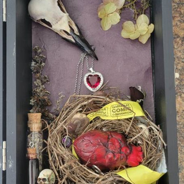 Crow Skull Real Natural Corvus Carone Raven Corvid Taxidermy Gothic ...