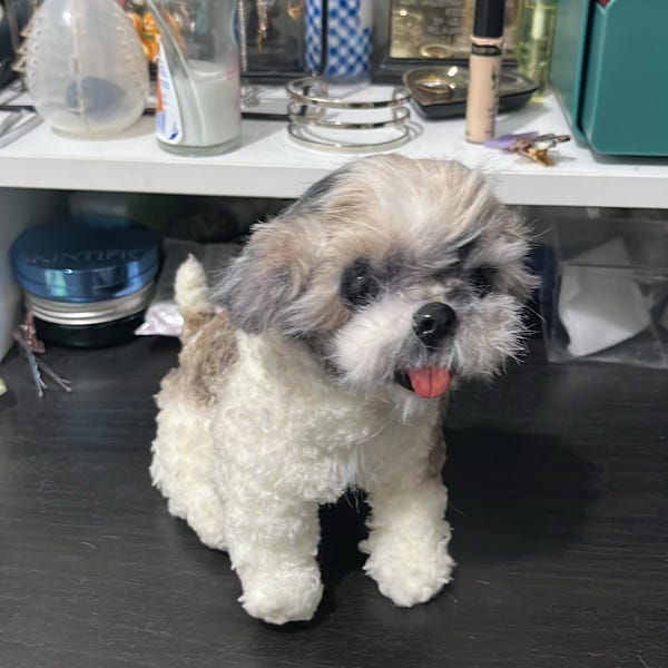 Custom Poodle Toy Plush - Handmade Realistic Dog Replica, Personalized ...