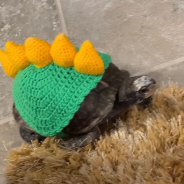 Tortoise Sweater Dinosaur, Stegosaurus Cozy for Tortoises, Crochet ...