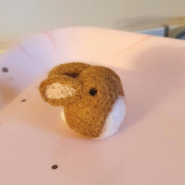 Custom Finch | Bird App Pet | Personalised Finch App - Etsy