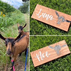 Hanging Show Stall Signs - Etsy