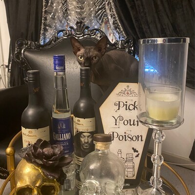 Gothic Bar Sign, Coffin Bar Signs, Alcohol Bar Sign, Halloween Signs ...