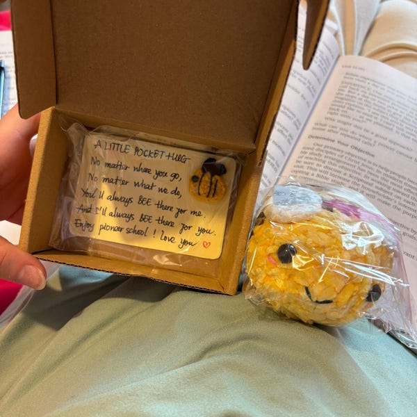 Cute Crochet Bee Plusie, Pocket Bee, Bumble Bee, Emotional Support Bee ...