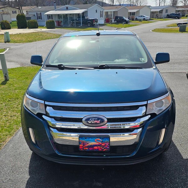 Whale License Plate, Whale,colorful Whale License Plate,animal License ...