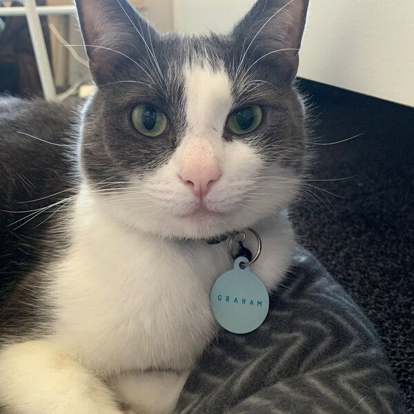 The Marley - Valentines Dog Tag Cat Tag Pet ID Tags - Personalised Name ...