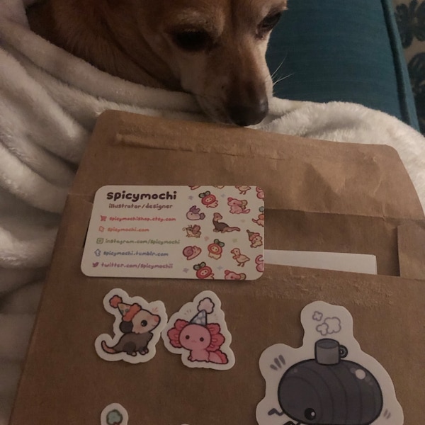 Bug With a Mug Sticker / Rolly Polly / Cute Bug Sticker / Isopod ...