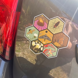 Vinyl Sticker: Endangered Pollinator Series / Large Bee Bumper Sticker ...